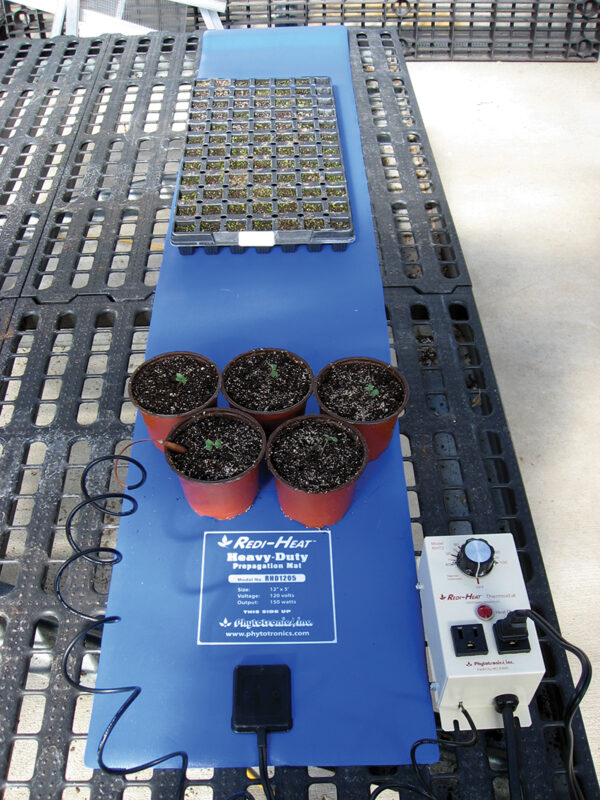 Redi-Heat™ Mats and Thermostats – Phytotronics, Inc.